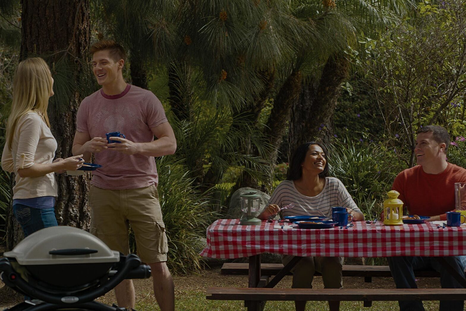 Category: Weber Q - Barbeques.com.au